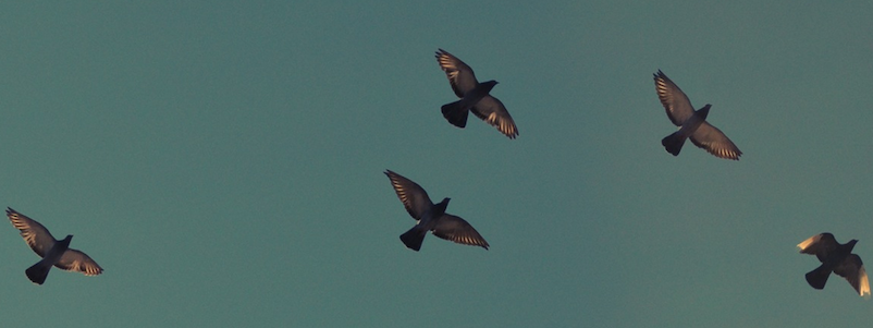 The 20 Most Popular Types of Sound Effects