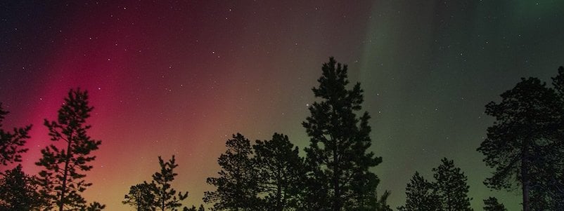 The 20 Most Popular Types of Sound Effects