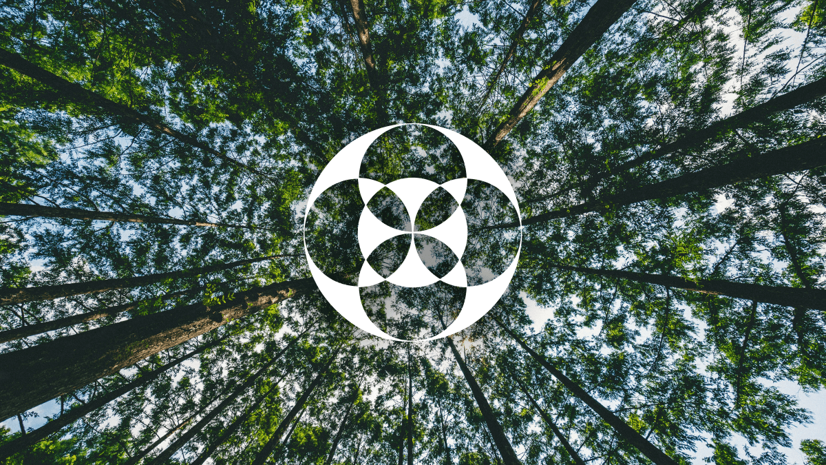 What are Ambisonic Sound Effects?